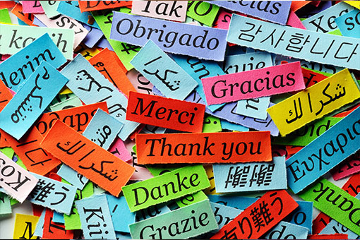 Sutton College - Sutton College for Adult Learning